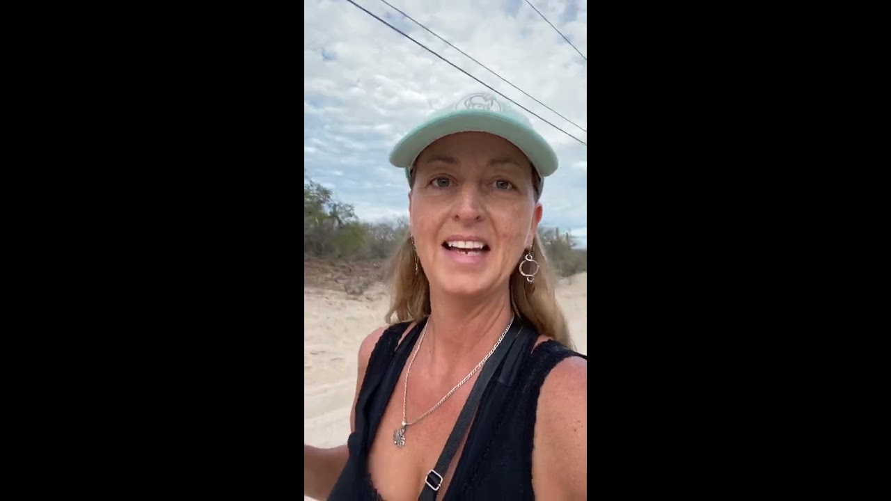 Short Updates - Shawna L. Frances